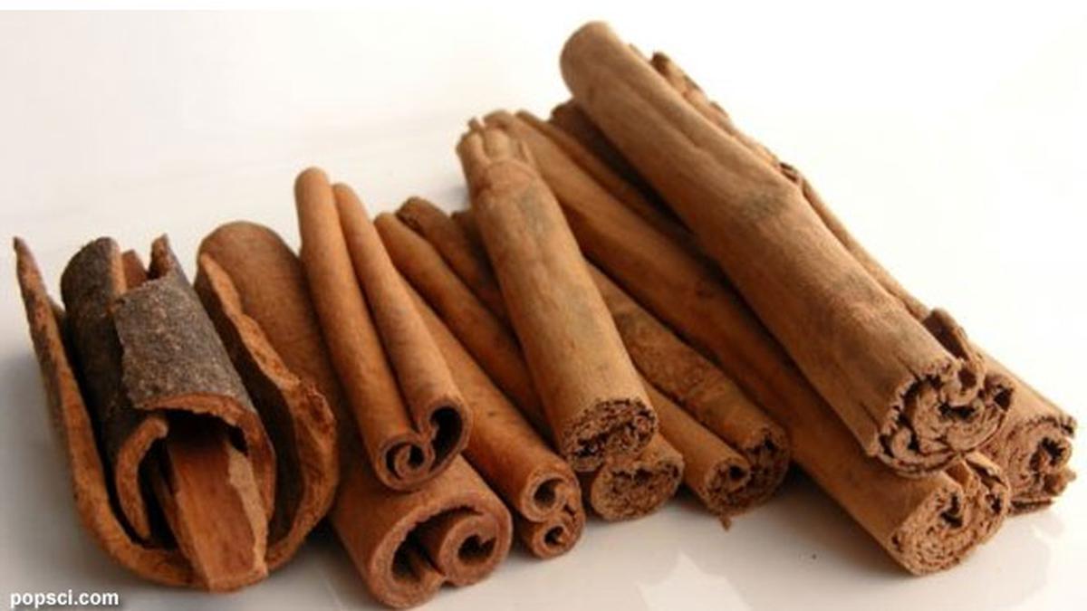 Puding Beras Kayu Manis yang Enak Disantap - Ramadan Liputan6.com