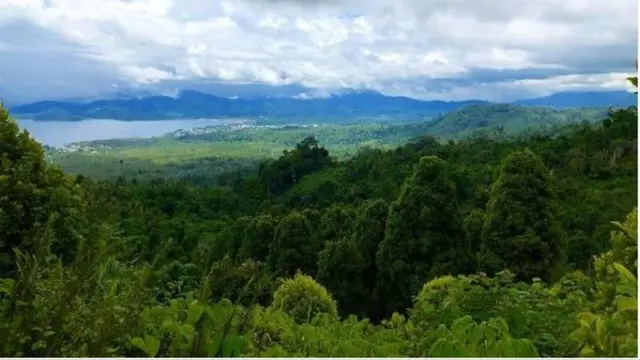 6 Fakta Menarik Halmahera Selatan, Punya Banyak Spot Diving Terbaik di ...