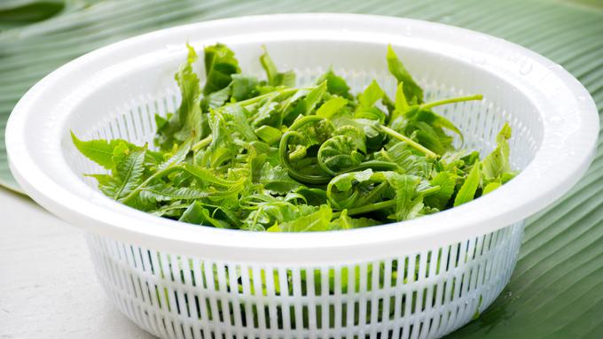 4 Tips Memilih dan Membeli Sayur Pakis yang Bagus! - Lifestyle Fimela.com