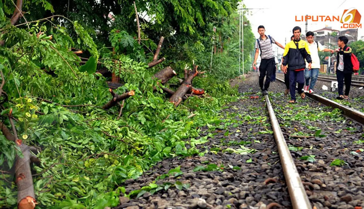 [FOTO] Akibat Pohon Tumbang KRL Beroperasi Satu Jalur - Foto Liputan6.com