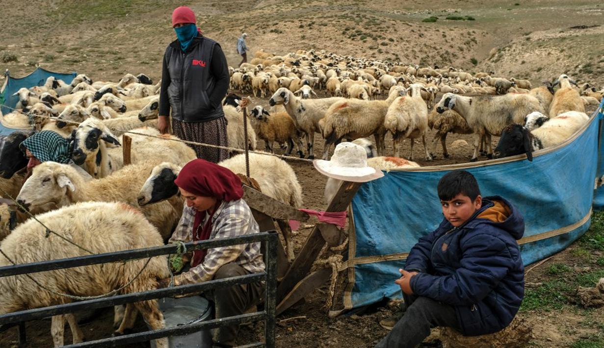 FOTO: Melihat Lebih Dekat Kehidupan Suku Savak di Turki - Foto Liputan6.com