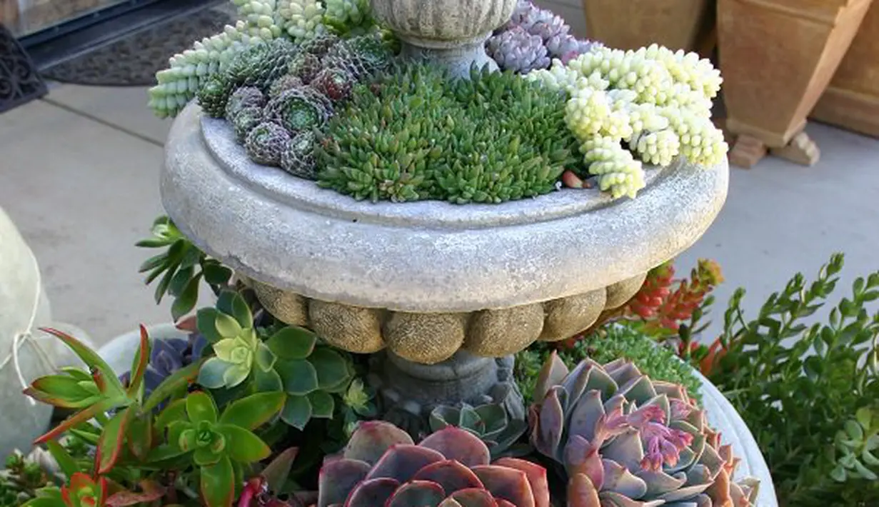 8 Ide Unik Buat Miniatur Taman Indoor Yang Tak Makan Tempat
