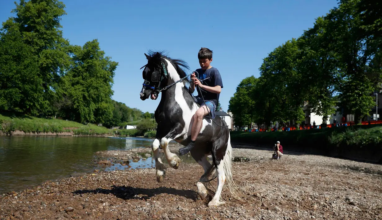 Kuda-kuda Cantik di Horse Fair Inggris - Foto Liputan6.com