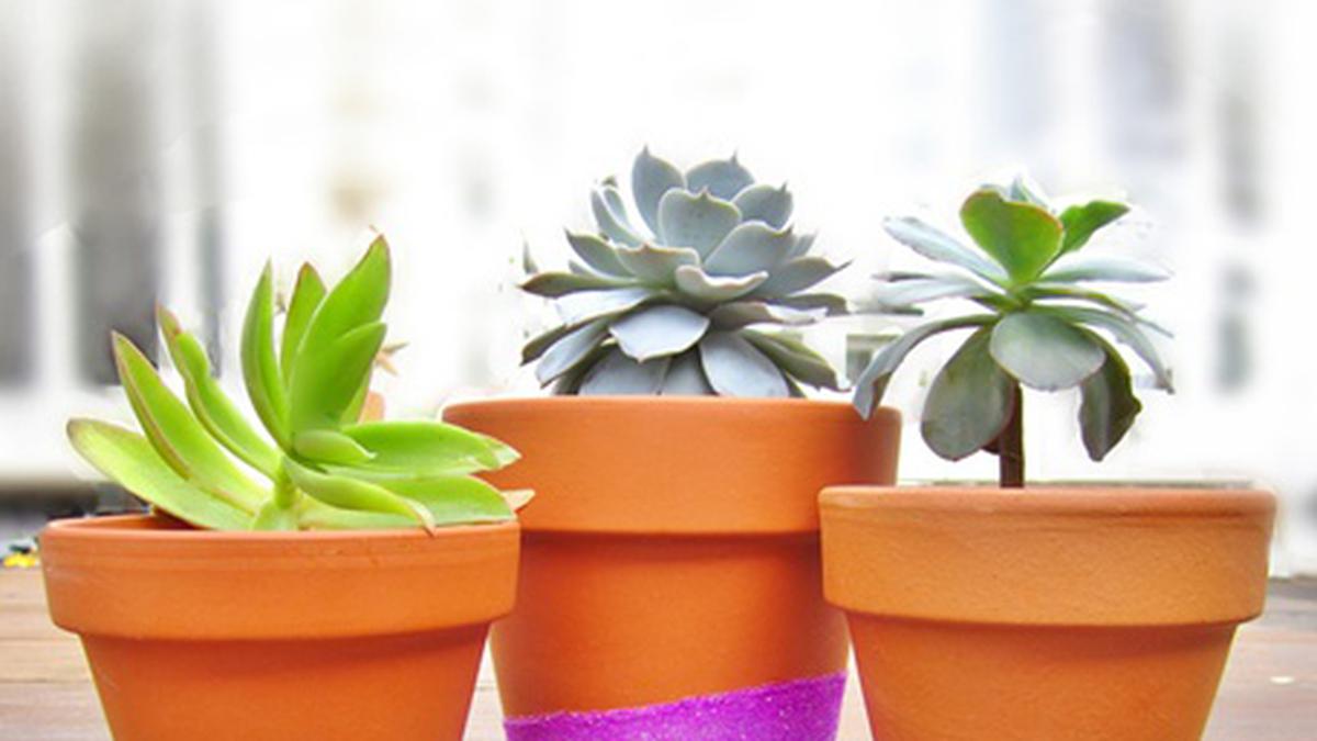 Ide Hias Pot Bunga Jadi Makin Unik & Menarik - Photo Fimela.com