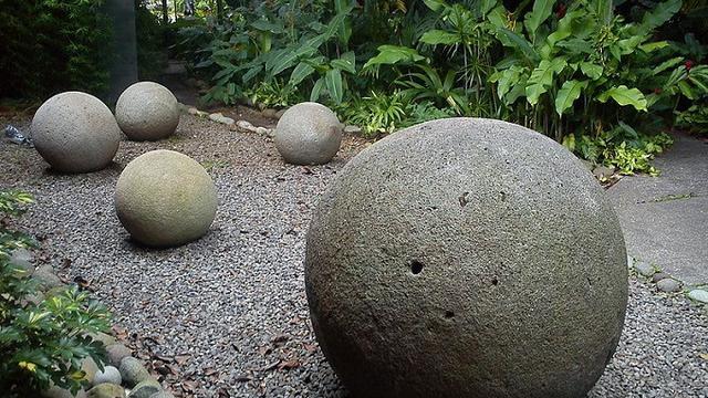 5 Temuan Mengagumkan di Hutan Rimba, Salah Satunya dari Indonesia ...