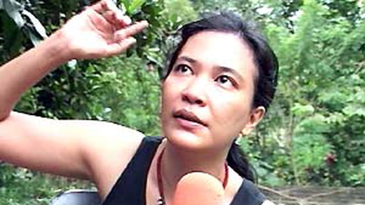 Oppie Andaresta dan SCTV Music Awards - ShowBiz Liputan6.com