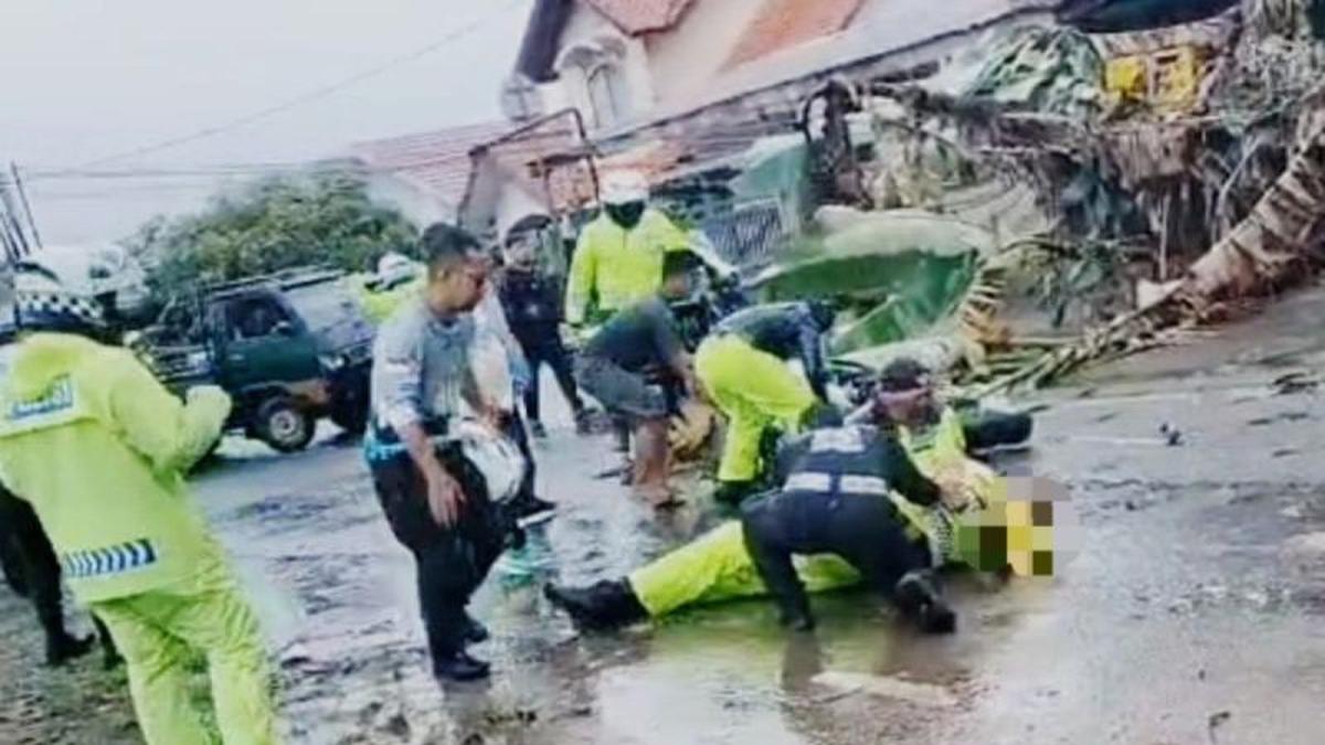 Anggota Polisi Meninggal Tertimpa Pohon Tumbang saat Safety Driving