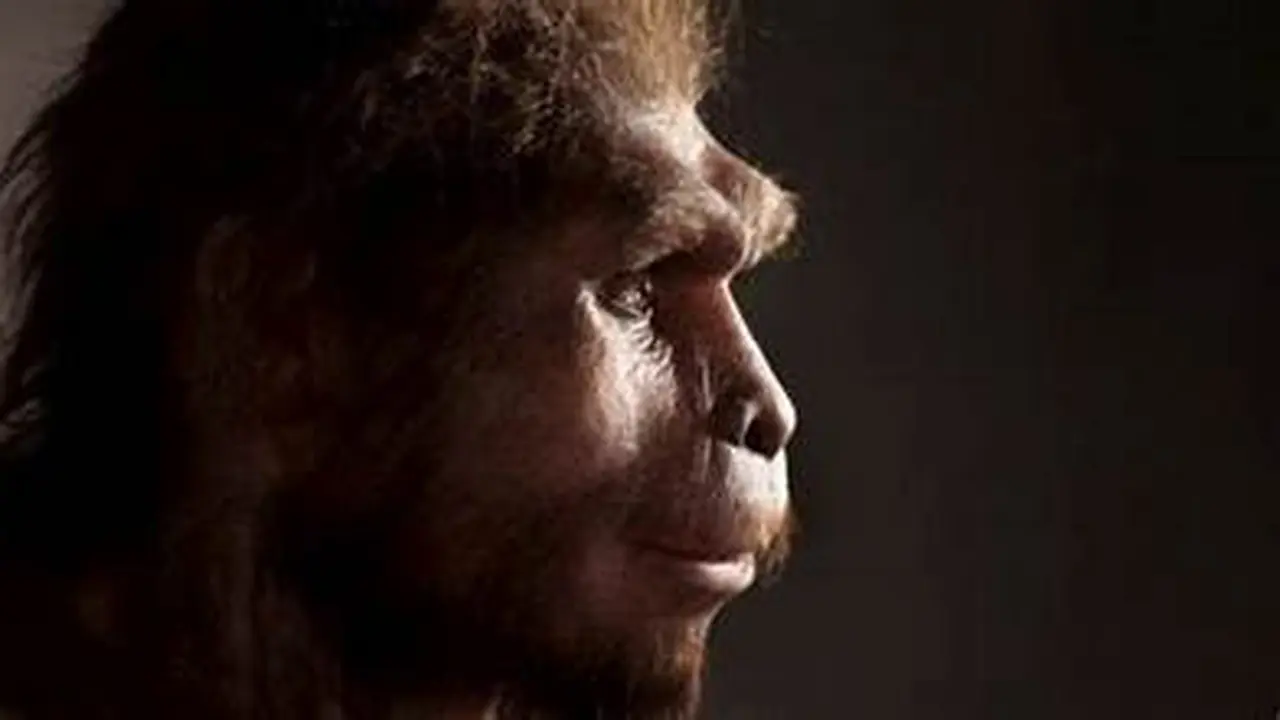 5 Manusia Purba Tertua di Indonesia, Berapa Ratus Tahun Umurnya? - Citizen6 Liputan6.com