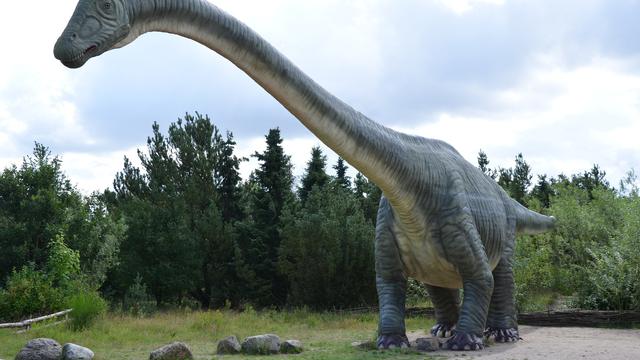 12 Macam Dinosaurus dan Namanya yang Populer, Menarik Dipelajari - Hot ...