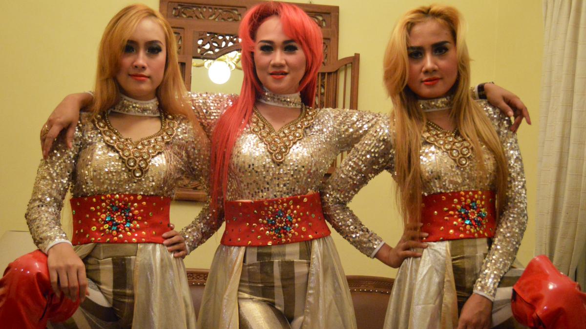 Ditonton 50 Ribu Orang, 3 Kucing Pecahkan Rekor - ShowBiz Liputan6.com