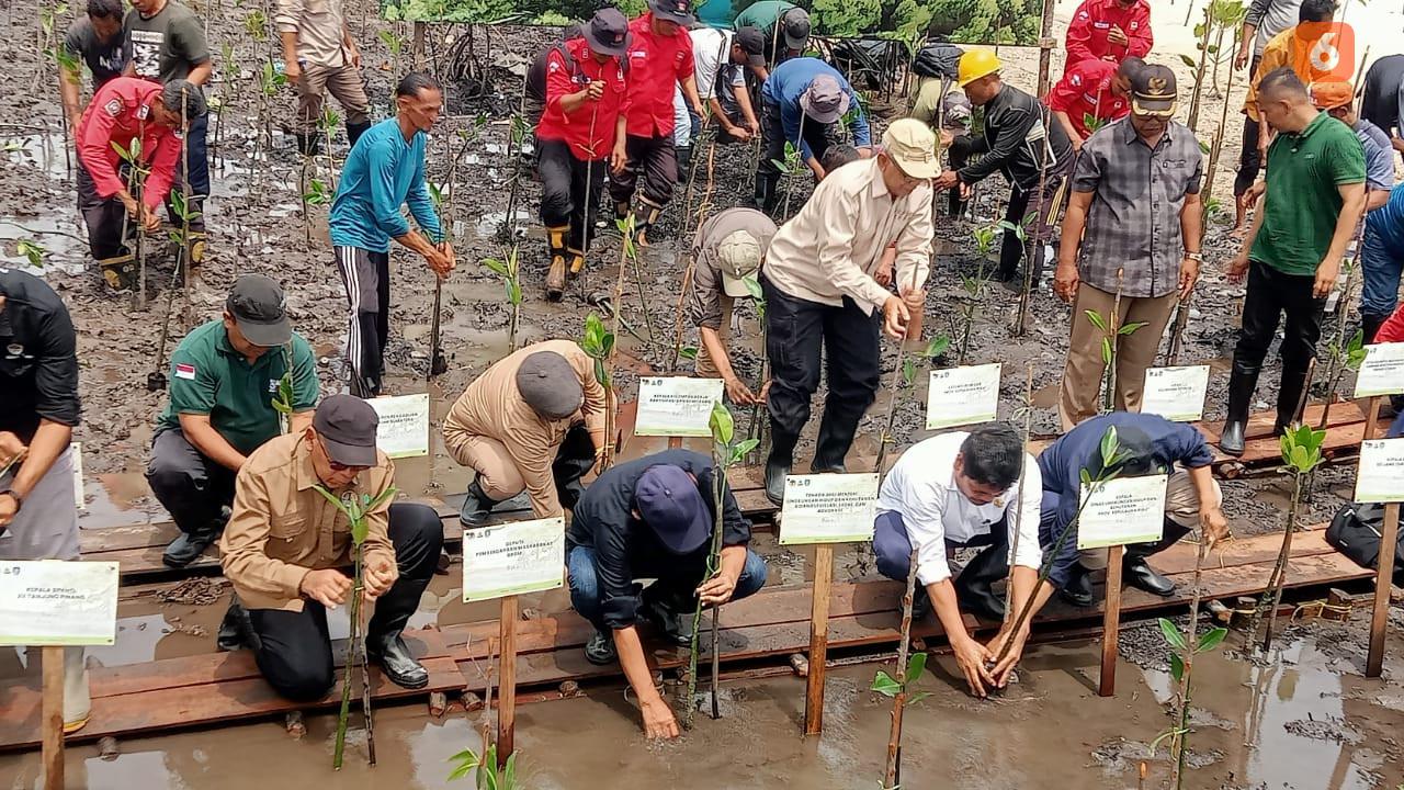 Seribu Mangrove untuk Pulau Setokok, Hadiah Hari Lahan Basah se-Dunia
