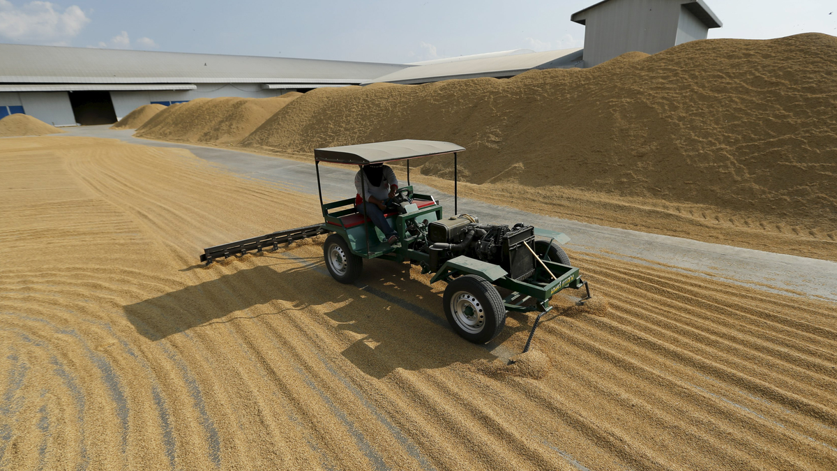 Bulog Perbanyak Penyimpanan Gabah di 2016 - Bisnis Liputan6.com