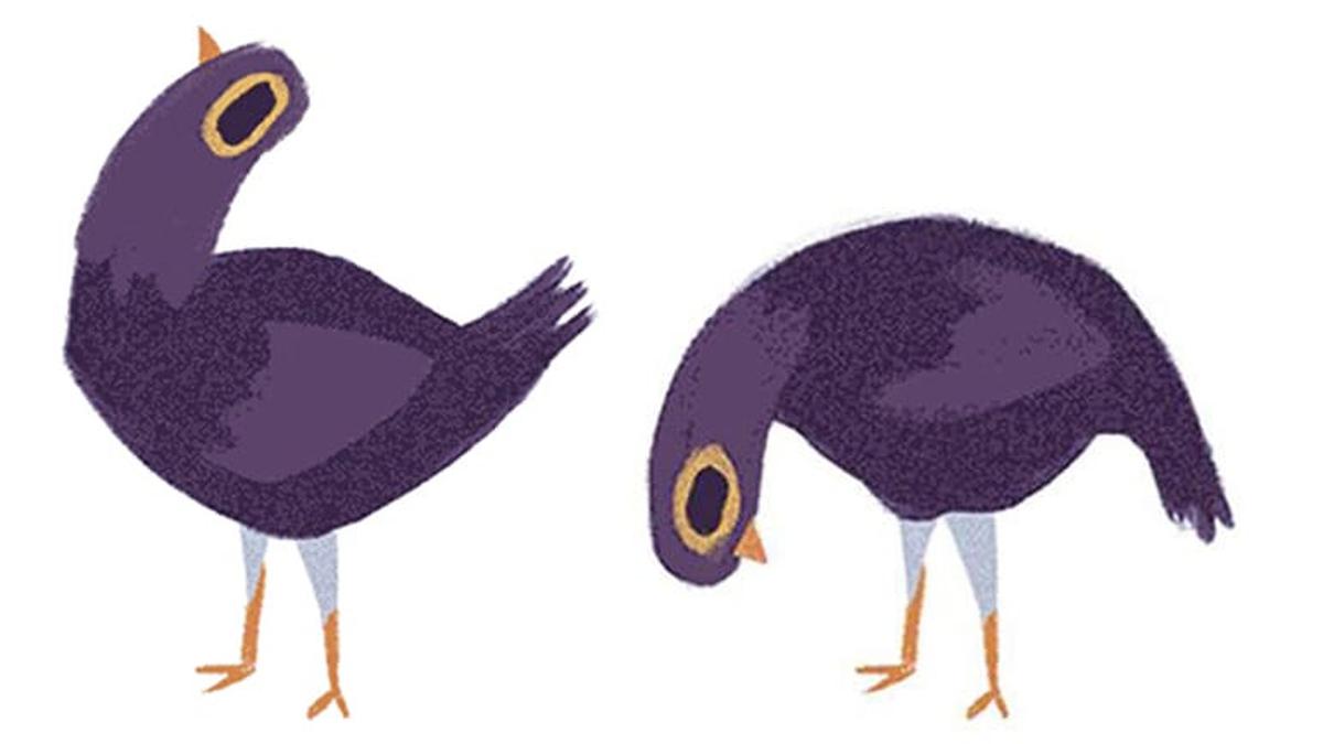 Ini Asal-Usul Stiker Merpati 'Trash Dove' yang Viral di Facebook