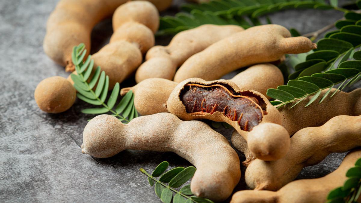 Mitos Pohon Asam Jawa yang Perlu Diketahui - Ragam Bola.com