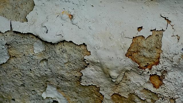 Kesalahan yang Membuat Jamur Kamar Mandi Cepat Muncul, Hindari Hal-Hal Ini