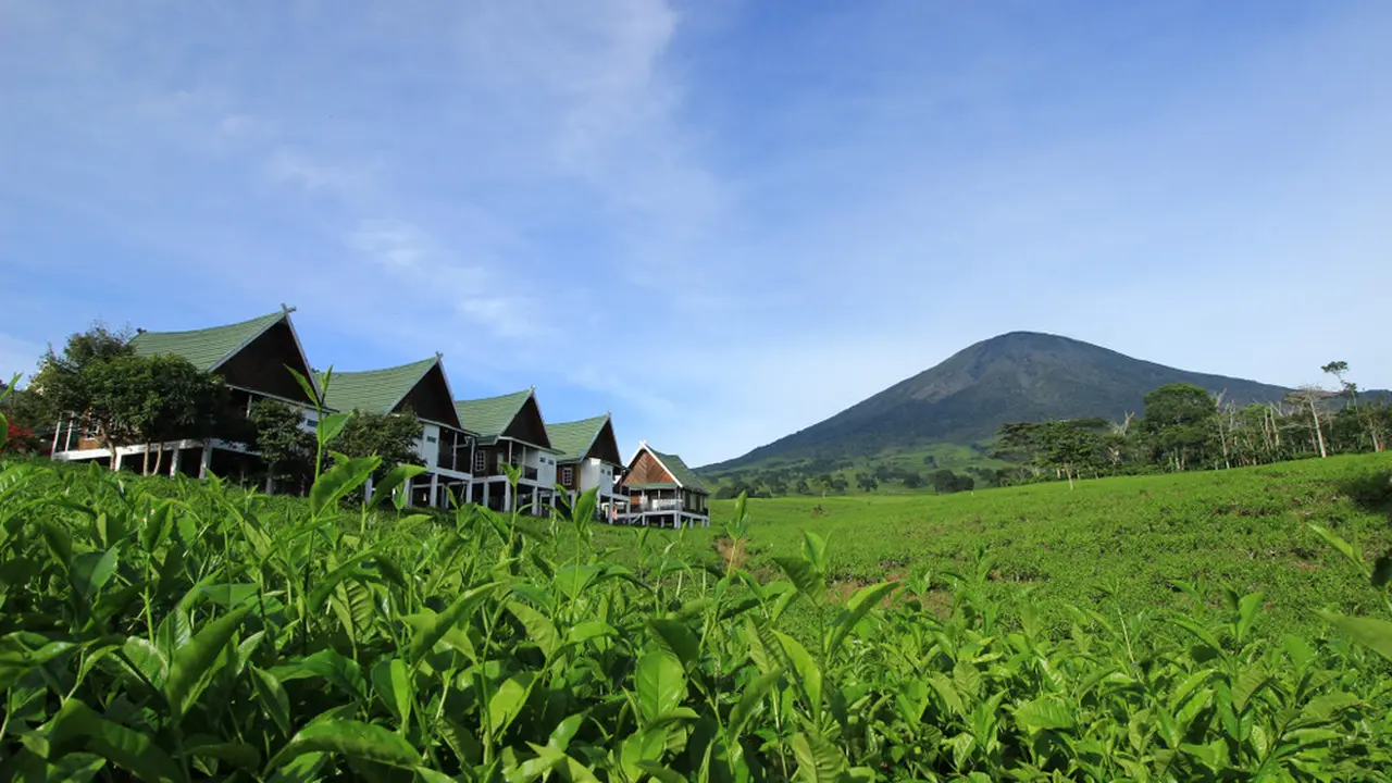 Gunung Dempo Wujud Keelokan Alami nan Memesona di Sumatra Selatan ...