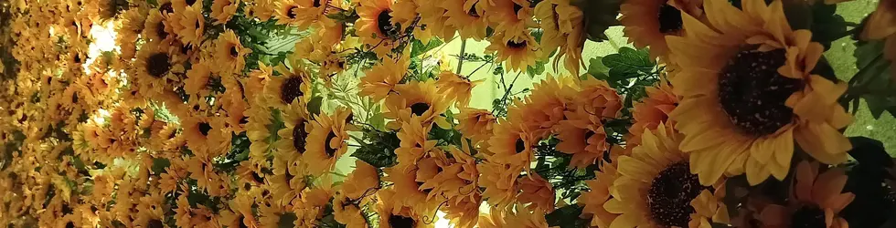 Adelia Septi Viranti Timeline - me.liputan6.com