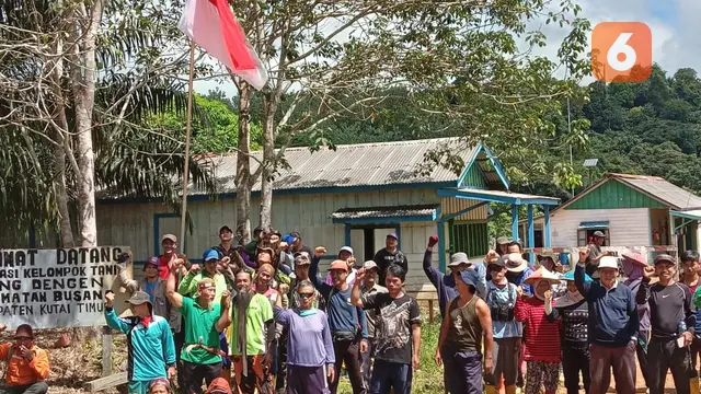 Kasus Sengketa Lahan di Kutim Dipertanyakan Kelompok Tani Busang Dengen - Regional Liputan6.com