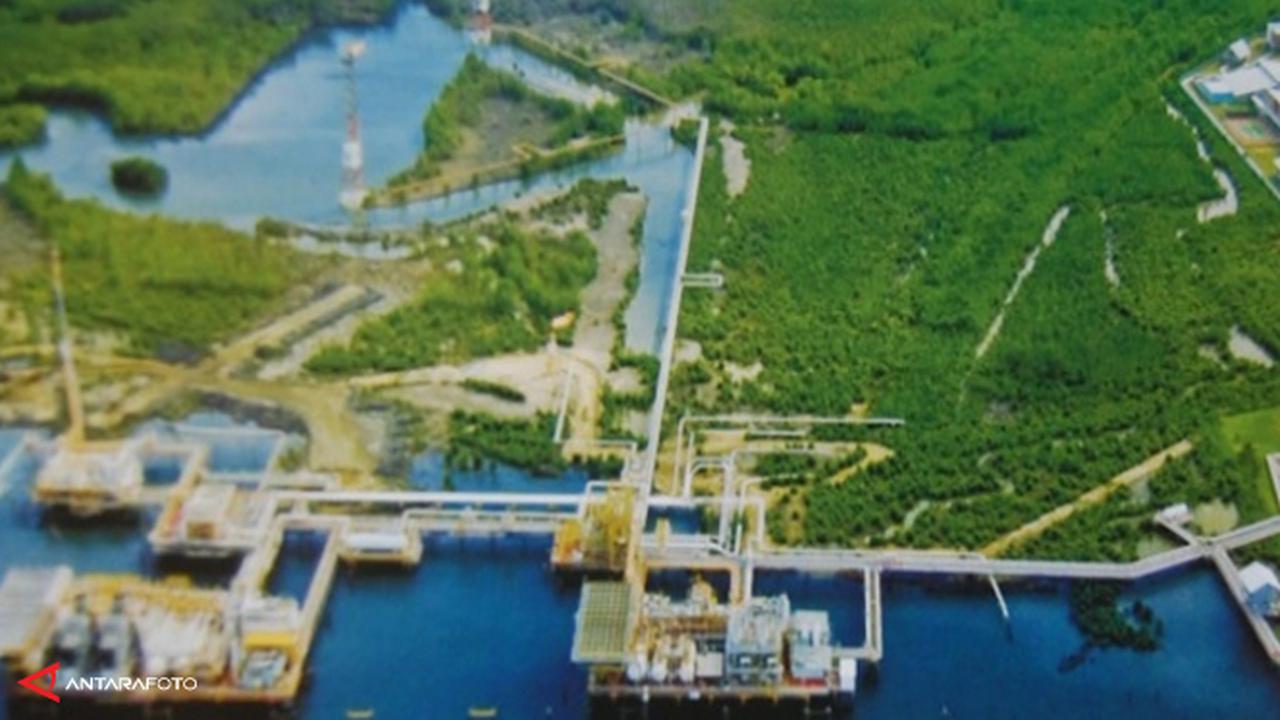 Dahlan Iskan Ngotot Pertamina Jadi Penguasa Blok Mahakam