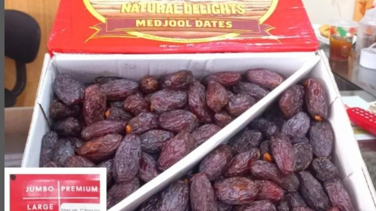 Mengenal Kurma Palestina yang Disebut Terbesar di Dunia dan Dijual di ...