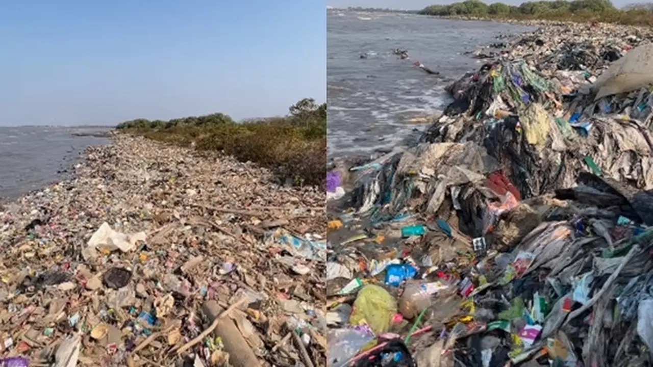 Pandawara Berhasil Ajak 10.800 Orang Bersihkan Pantai Kesenden Cirebon ...