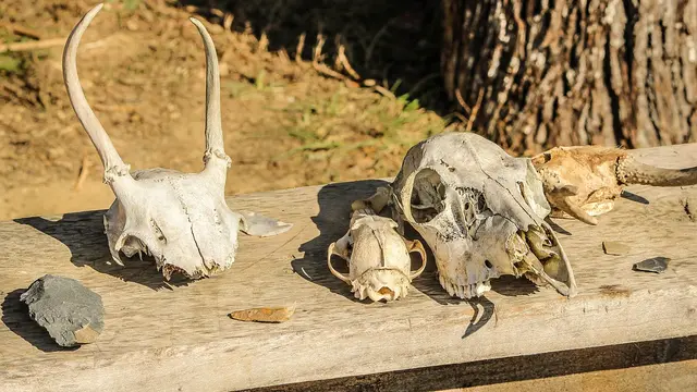 Arti Artefak beserta Jenis dan Contohnya - Ragam Bola.com