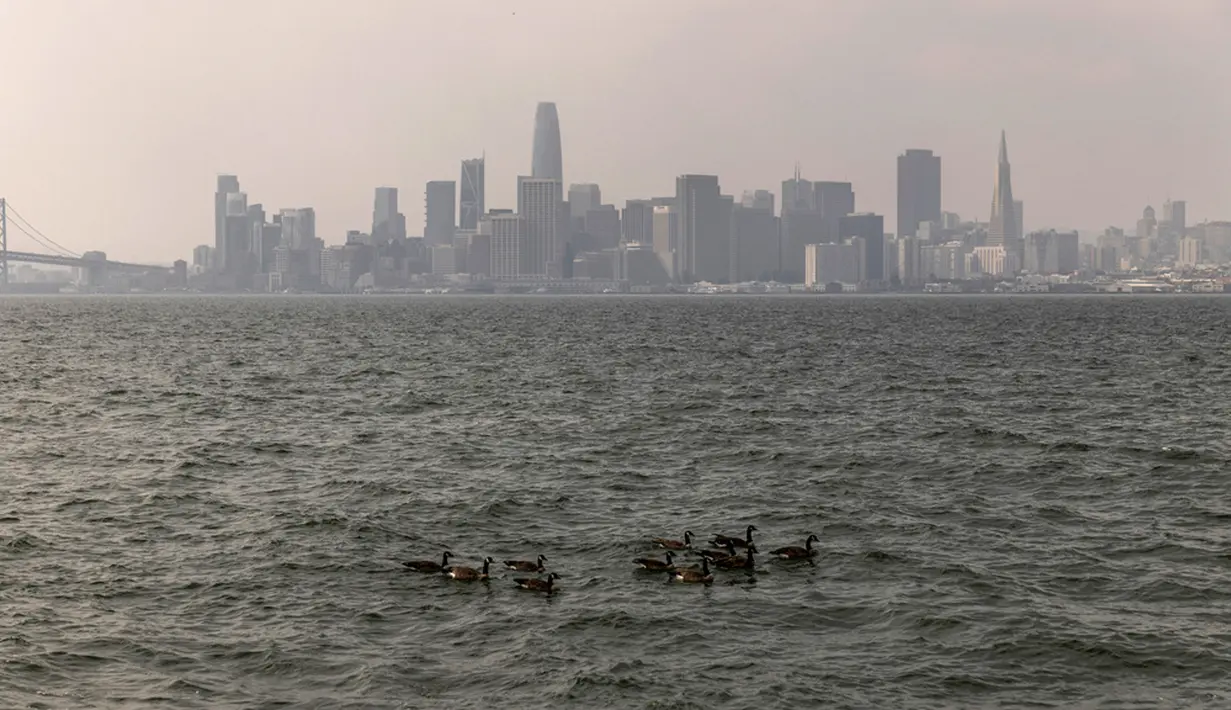 San Francisco Berselimut Asap Tebal Imbas Kebakaran Hutan di California ...