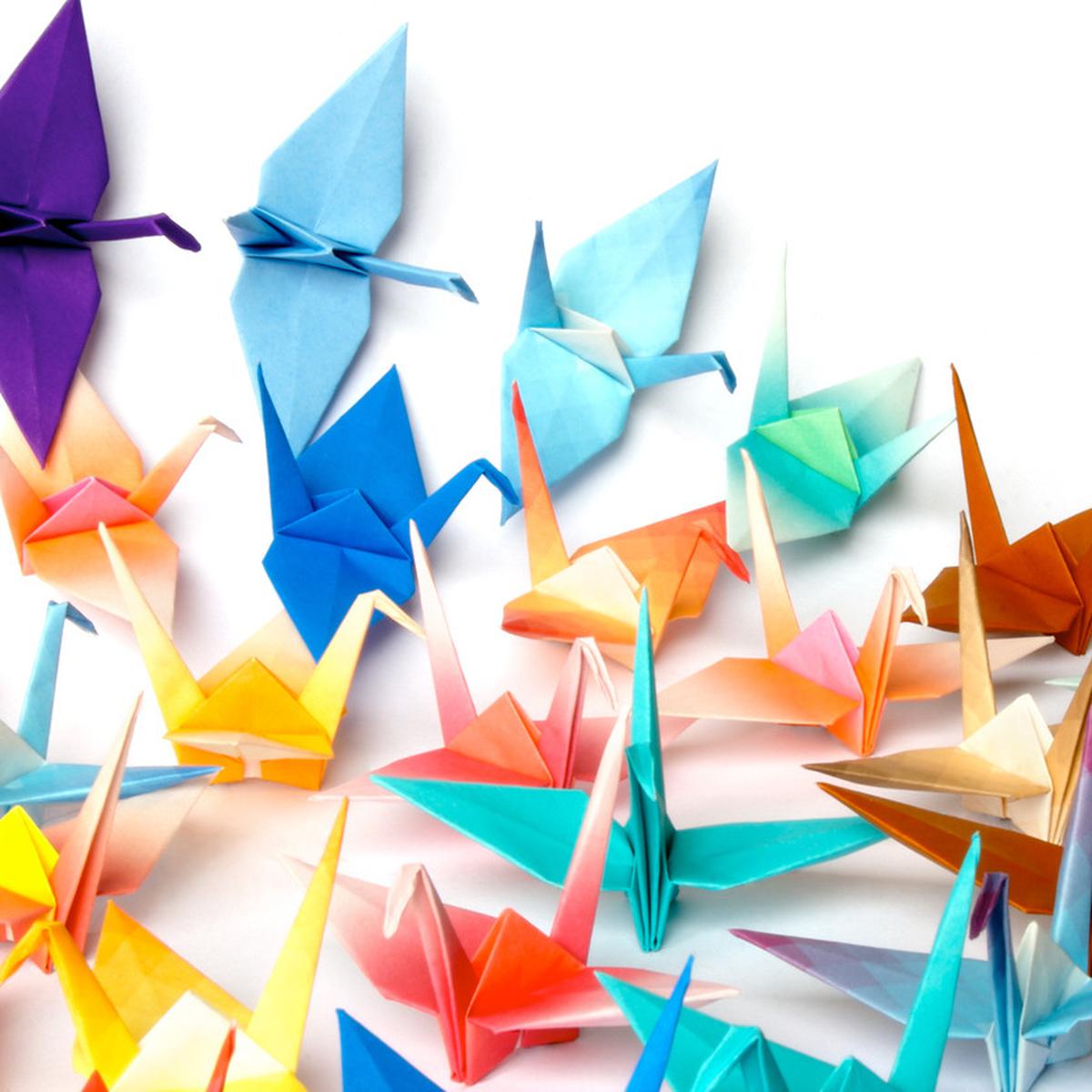 Cara Nak Buat Origami Shallow ZaidenanceBarnett