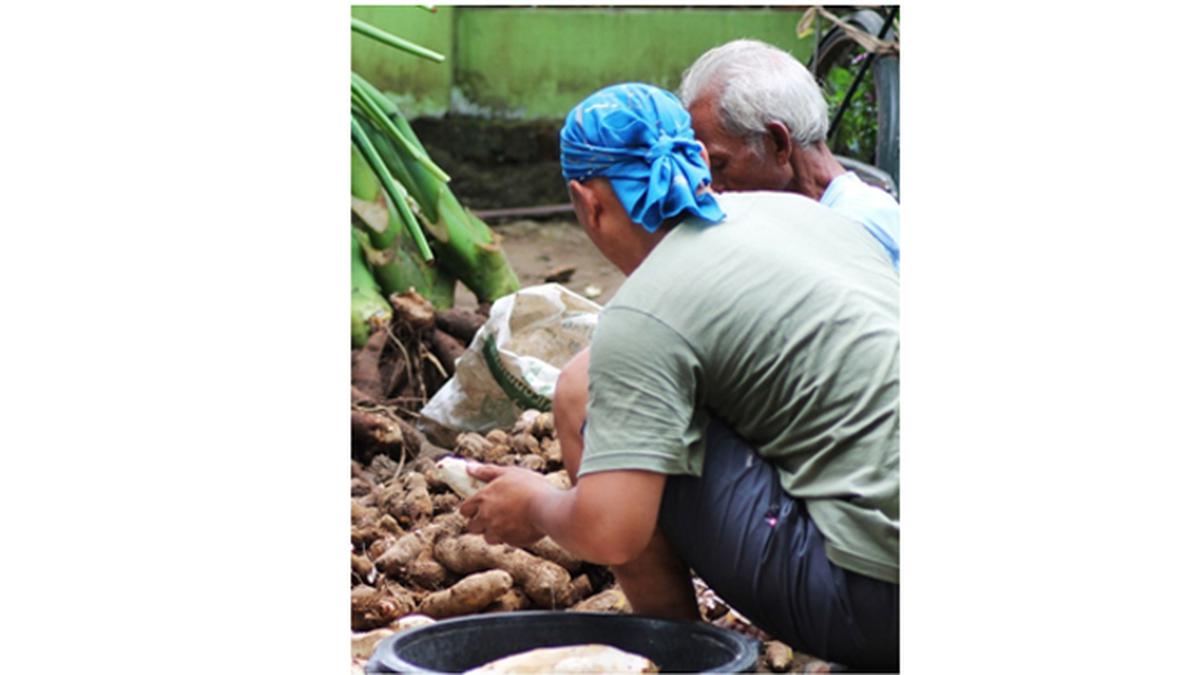 Keripik Enthik Qonita, Inovasi Keripik Baru - Citizen6 Liputan6.com