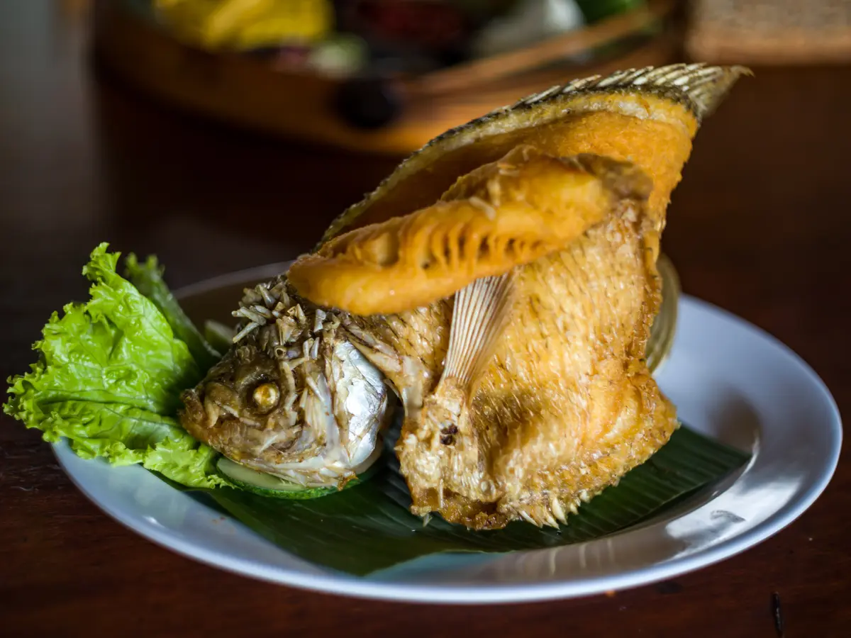 Cara Menghilangkan Rasa Pahit Pada Masakan Ikan - AryanropNewman