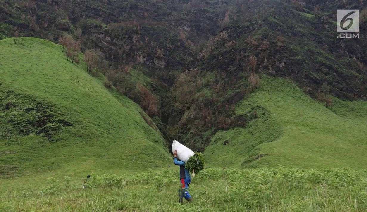 PHOTO: Dapat Dana Desa, Warga Kaki Gunung Bromo tidak Lagi Kesulitan ...