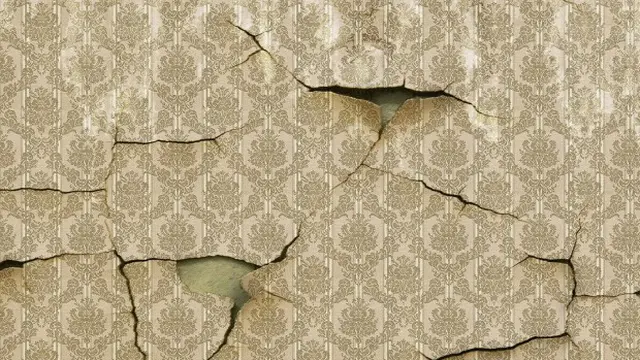 Tips Memperbaiki Wallpaper Dinding yang Rusak - Lifestyle Liputan6.com