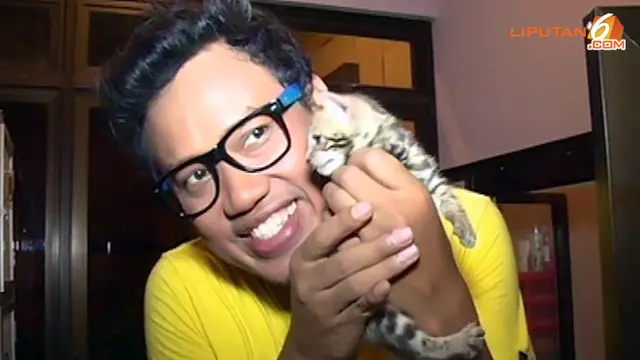 [VIDEO] Ngidam Leopard, Uya Kuya Pelihara Kucing Bengal - ShowBiz ...