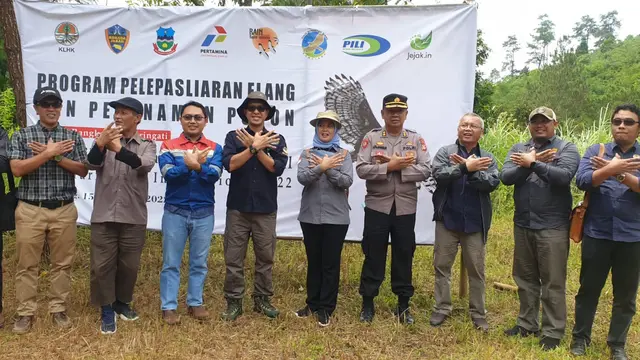 Saatnya Si 'Elang Cantik' Mona dan Baby Temukan Jodoh di Langit ...
