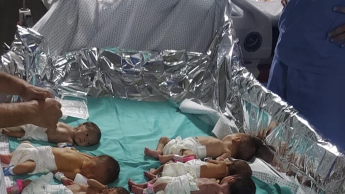RS Al-Shifa yang Terbesar di Gaza Lumpuh, Dokter Minta Bayi-bayi ...