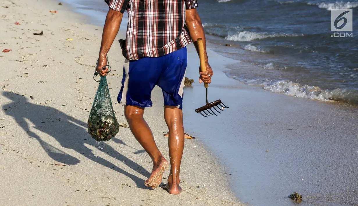 FOTO: Pencari Kerang di Pesisir Pantai Pulau Pasir - Foto Liputan6.com