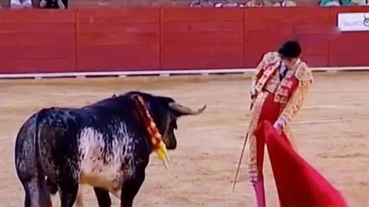 VIDEO: Matador Profesional Spanyol Tewas Ditanduk Banteng
