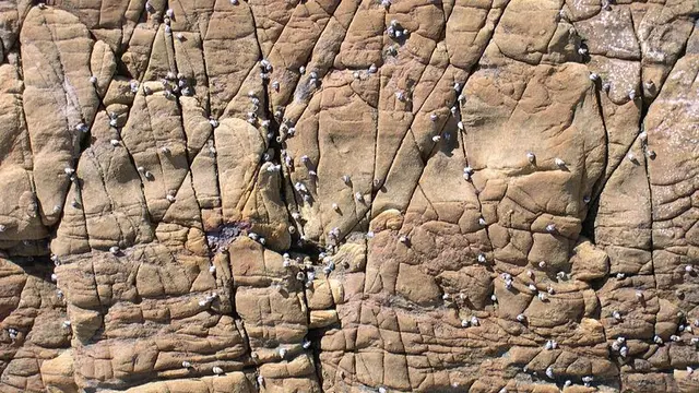 13 Jenis Batuan Alam yang Lengkap dengan Penjelasannya - Hot Liputan6.com