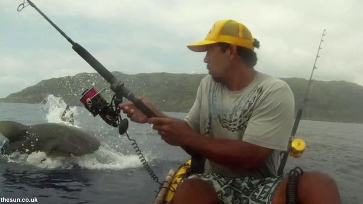 VIDEO: Mendebarkan! Pemancing 'Berebut' Ikan Dengan Hiu - Global ...