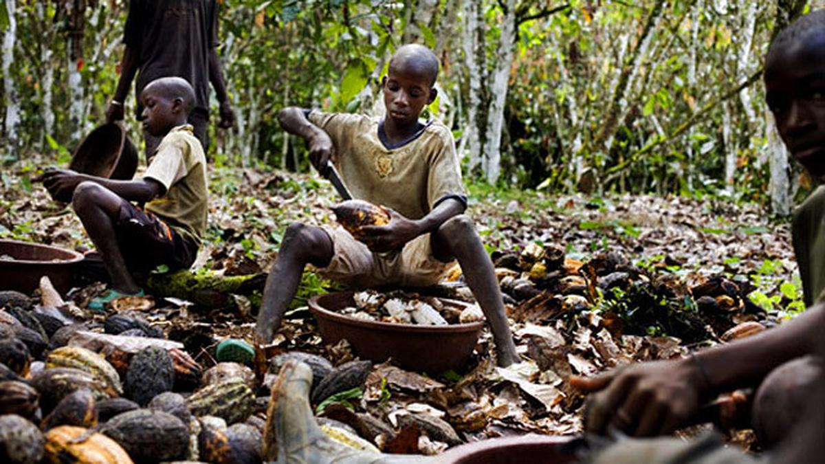 Kisah Pilu Perbudakan di Balik Kelezatan Mewah Cokelat - Photo Fimela.com