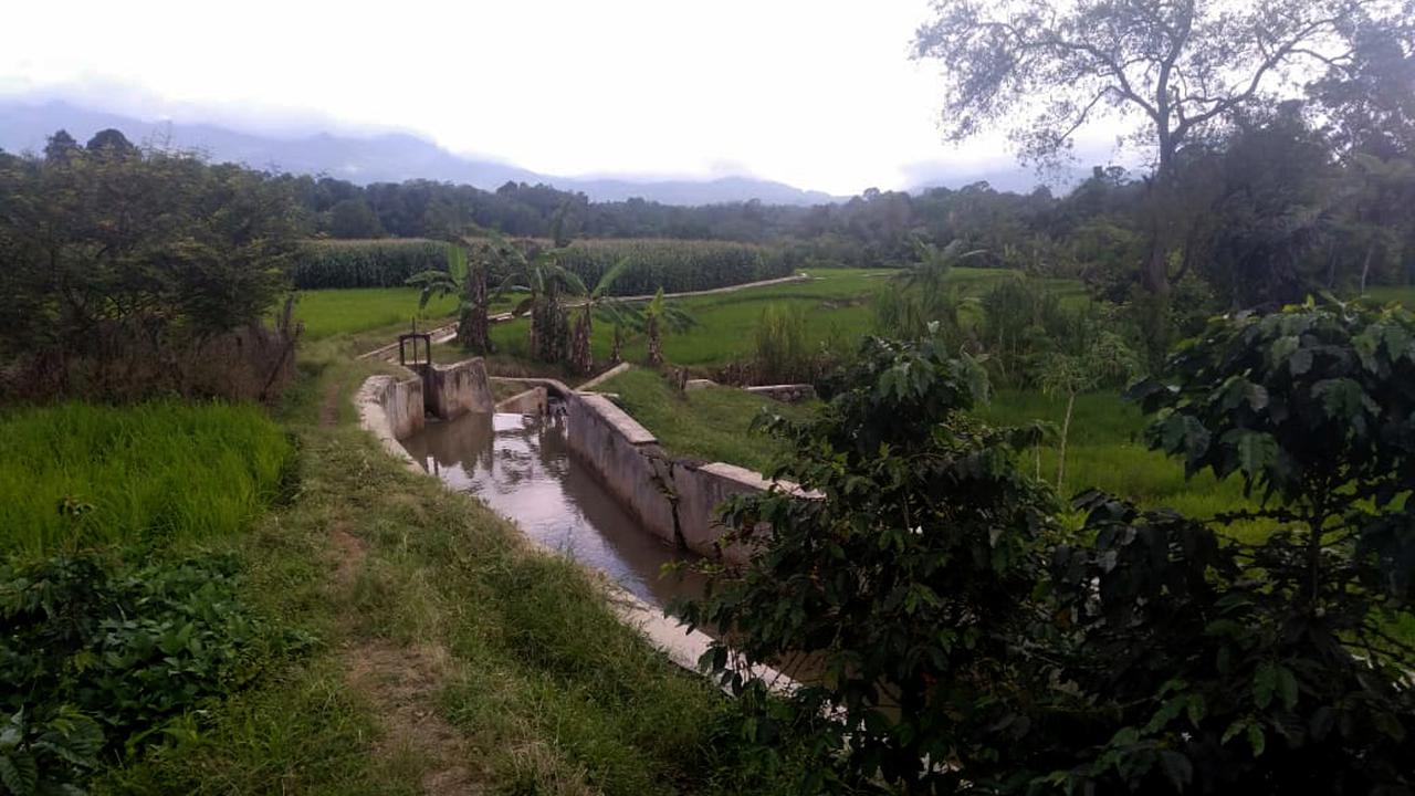 Jalankan Program RJIT Kementan, Petani Muna Genjot Produksi