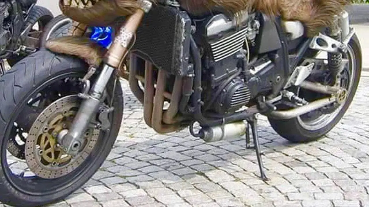 Kumpulan Potret Modifikasi Sepeda Motor yang Terinspirasi dari Hewan ...