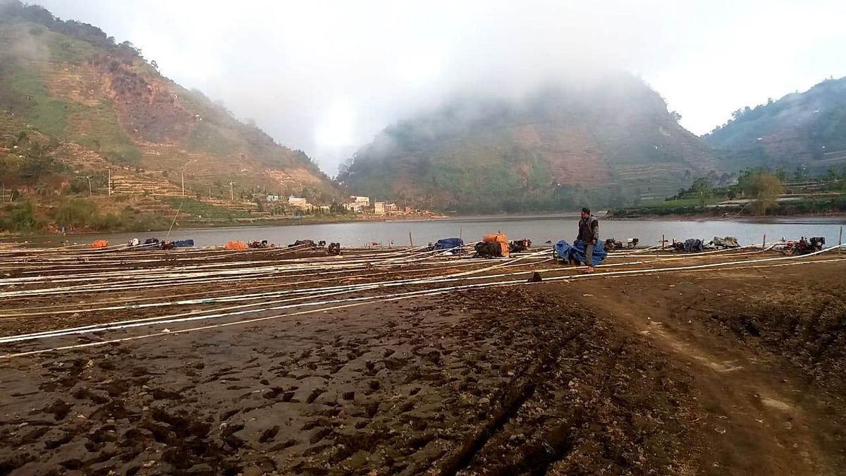 Berkah Pagi Telaga Cebong Dieng di Musim Kemarau - Regional Liputan6.com