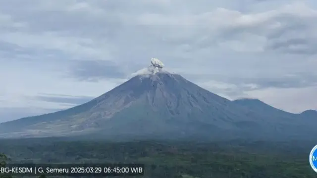 Gunung Semeru Erupsi 4 Kali, Semburkan Abu Vulkanik hingga 800 Meter - News Liputan6.com