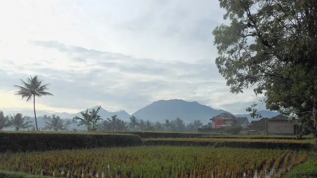 6 Fakta Menarik Gunung Rakutak, Bagian Cagar Alam Kamojang di Bandung ...