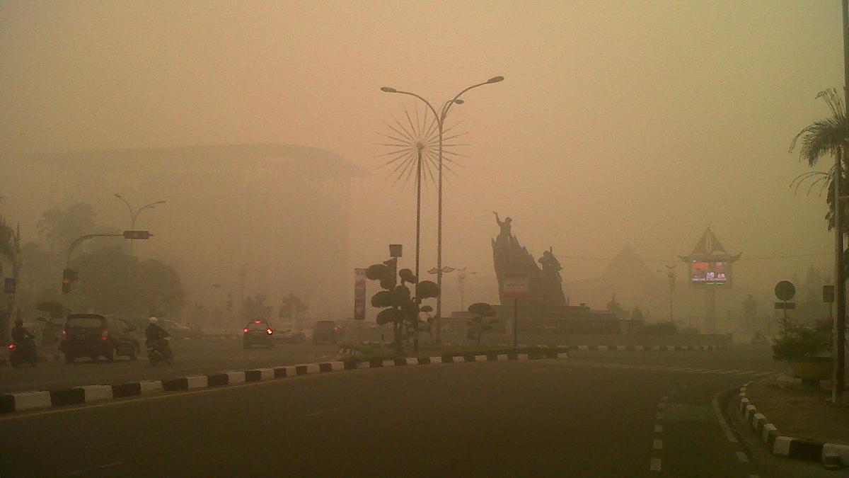 Asap Kebakaran Hutan Sudah Sampai Selat Malaka - Regional Liputan6.com