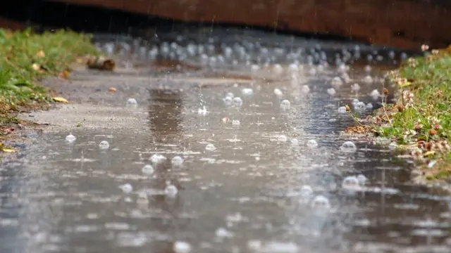 Petrichor, Fenomena Aroma Hujan yang Mempesona - Regional Liputan6.com