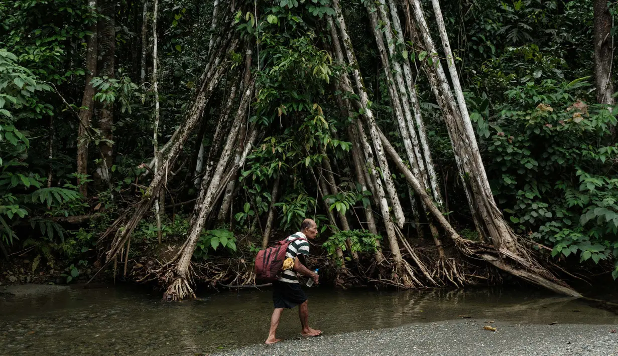Eksploitasi Nikel Ancam Belantara Kehidupan Suku Pedalaman Halmahera ...