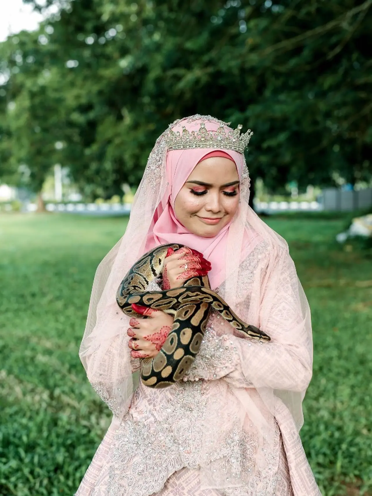 Ganti Buket Bunga dengan Ular, Foto Prewed Pasangan Ini Bikin Ngeri ...