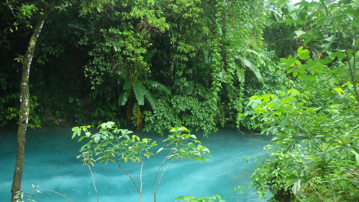 Gelembung dan Asap Selalu Terlihat di Air Danau Ninivala, Maluku ...